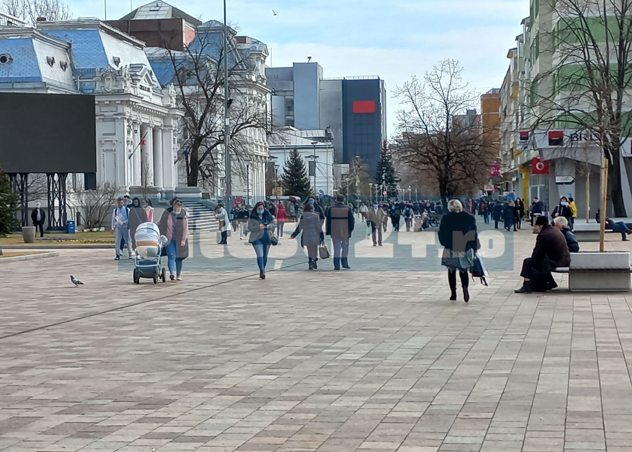 Incidența în Pitești a scăzut sub un nou prag