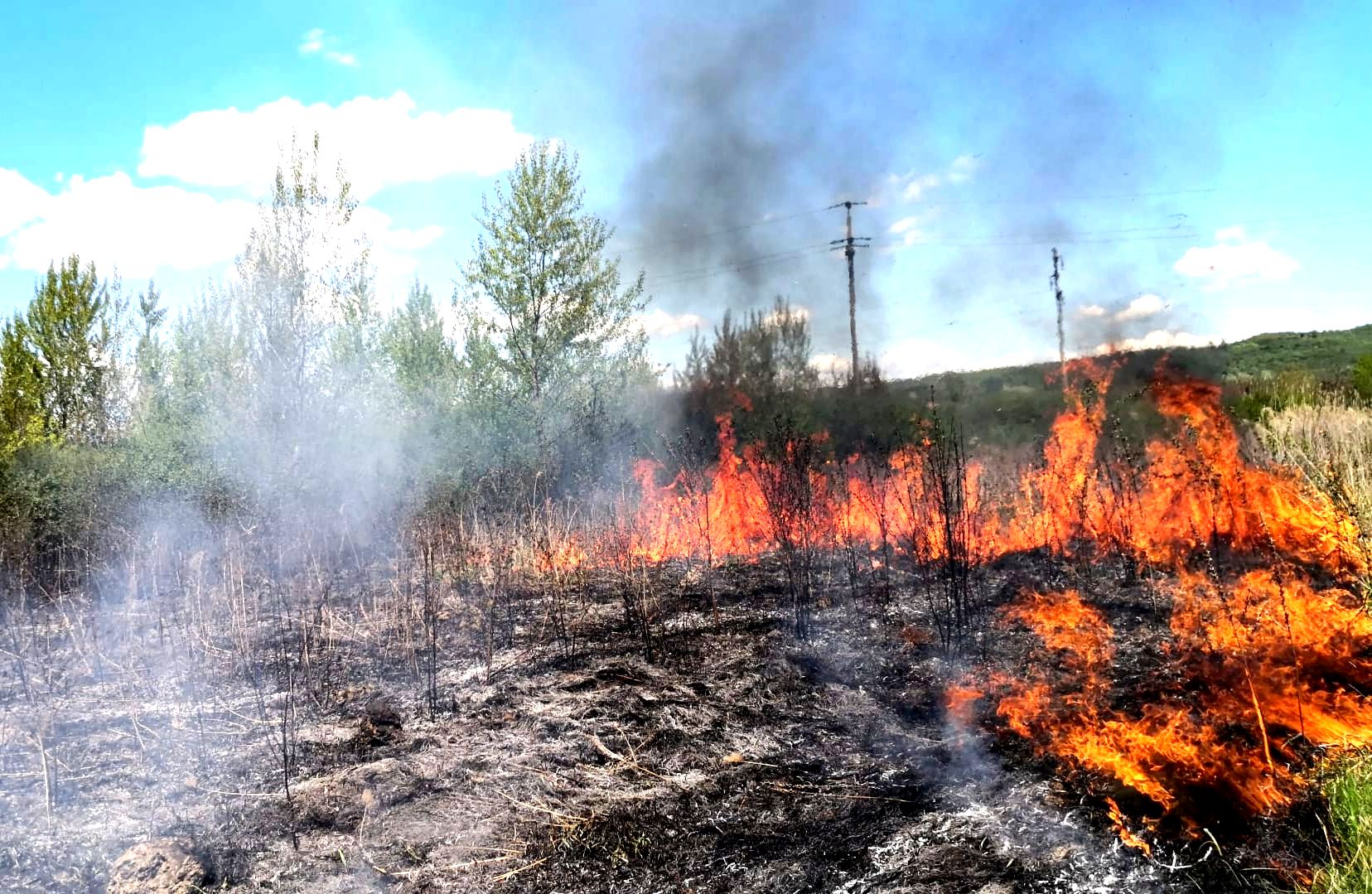 Incendiu în Argeș. Focul a ajuns în pădure